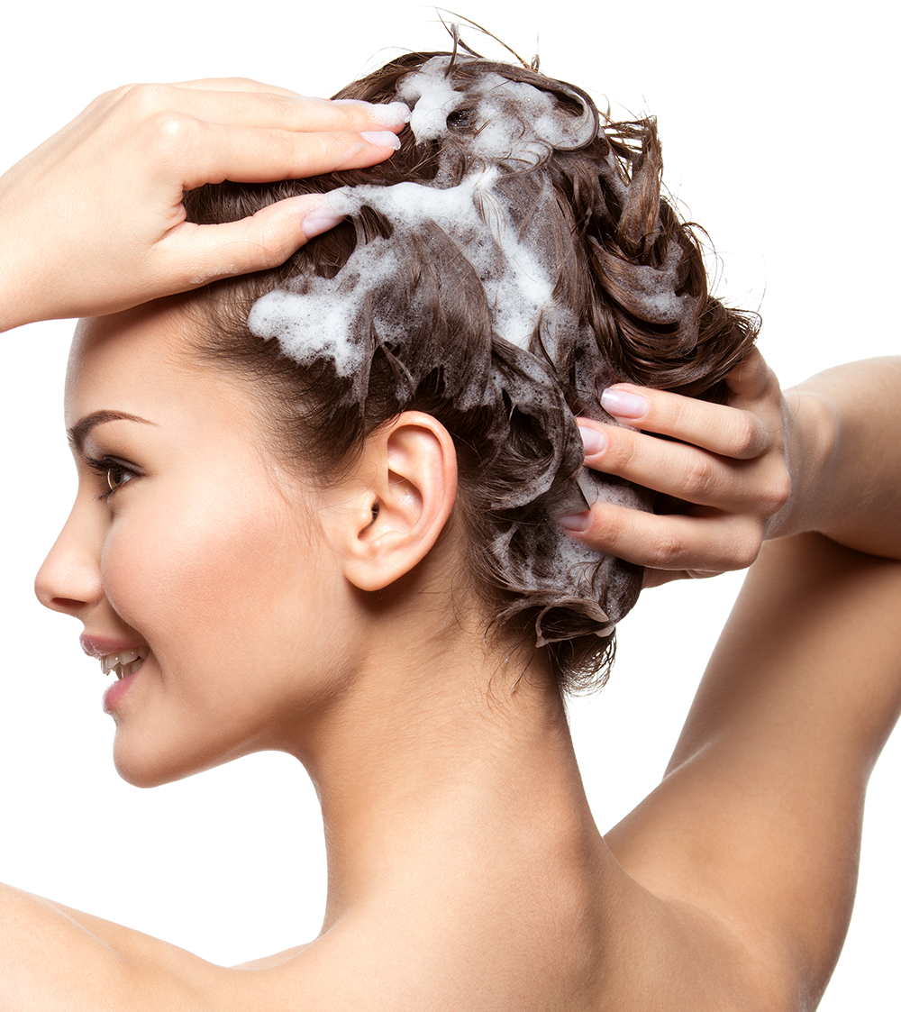 Shampoo